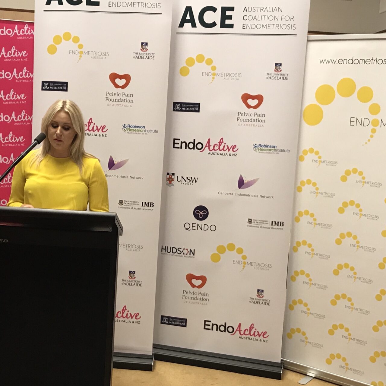EndoWarriors at Parliament - Endometriosis Australia