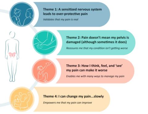 Pain science education for pelvic pain - Endometriosis Australia
